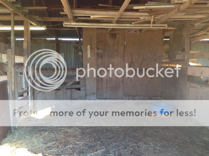 What would you do with this barn? | The Horse Forum