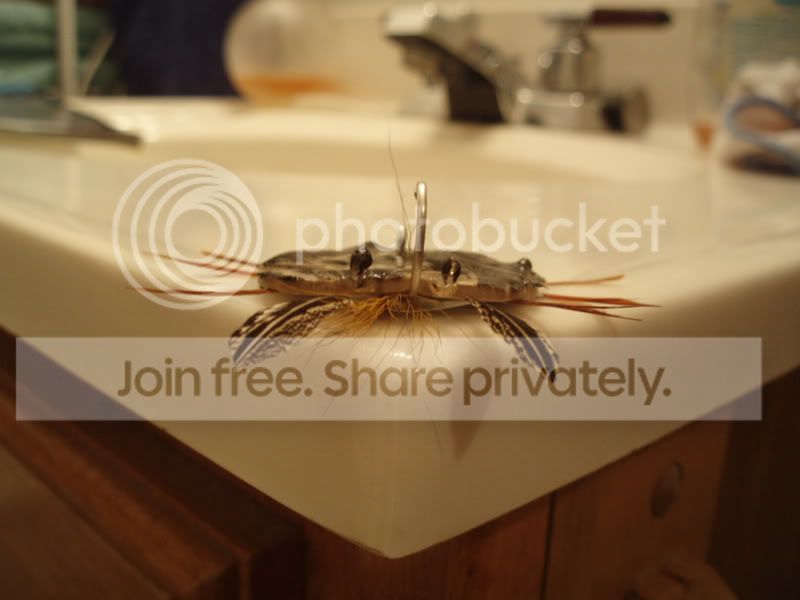 Lobsters, and other crustacean types - Fly Tying Forum - SurfTalk